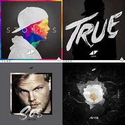 Avicii【入門編】